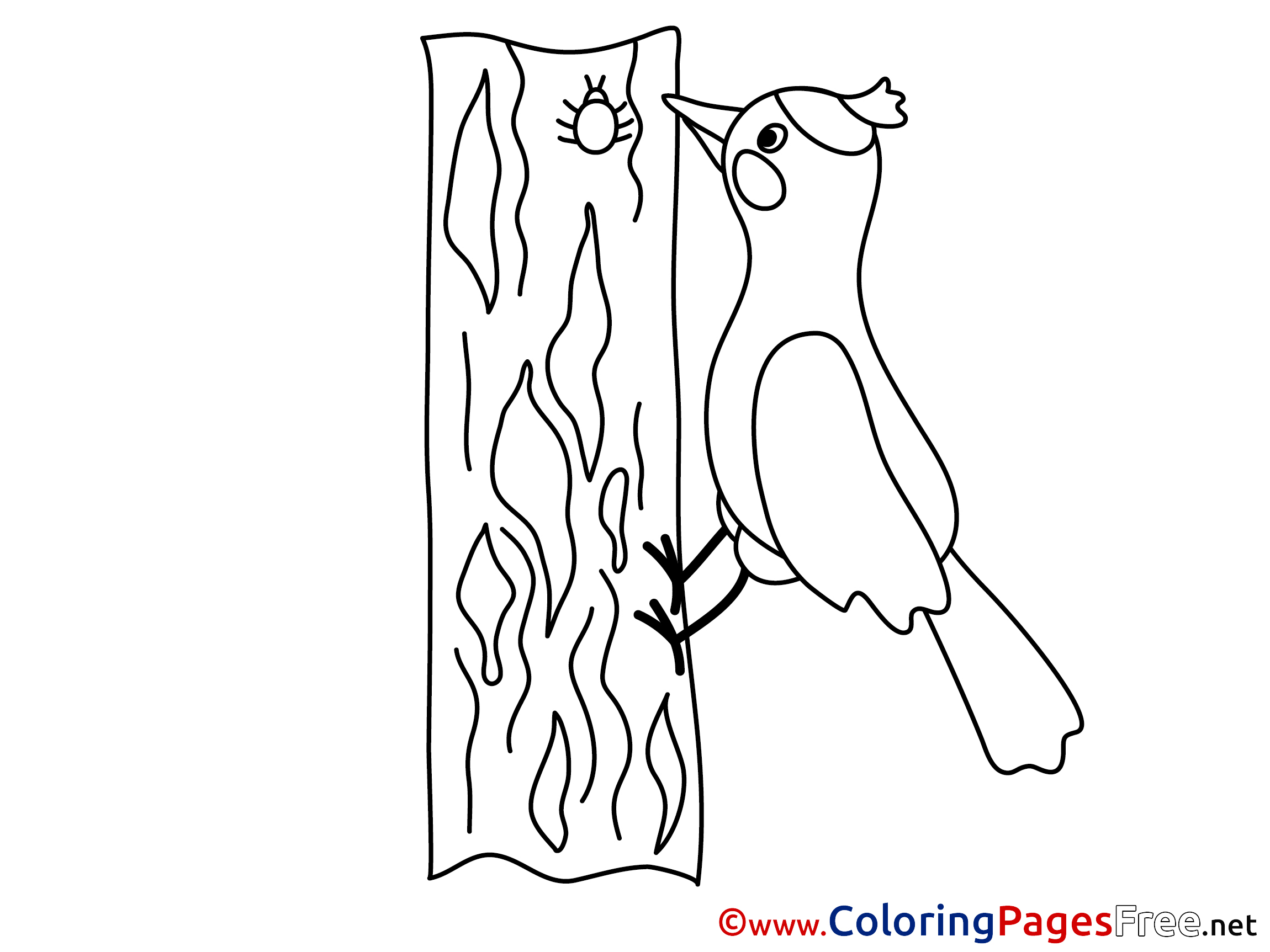 Bird on Tree Colouring