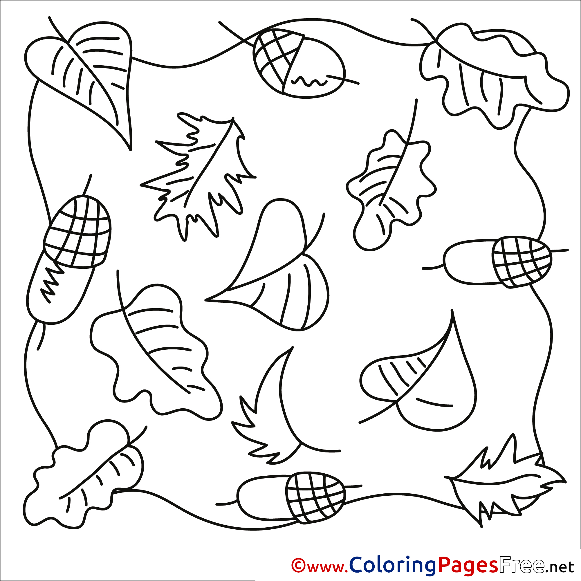 Acorns Autumn download Colouring Sheet free