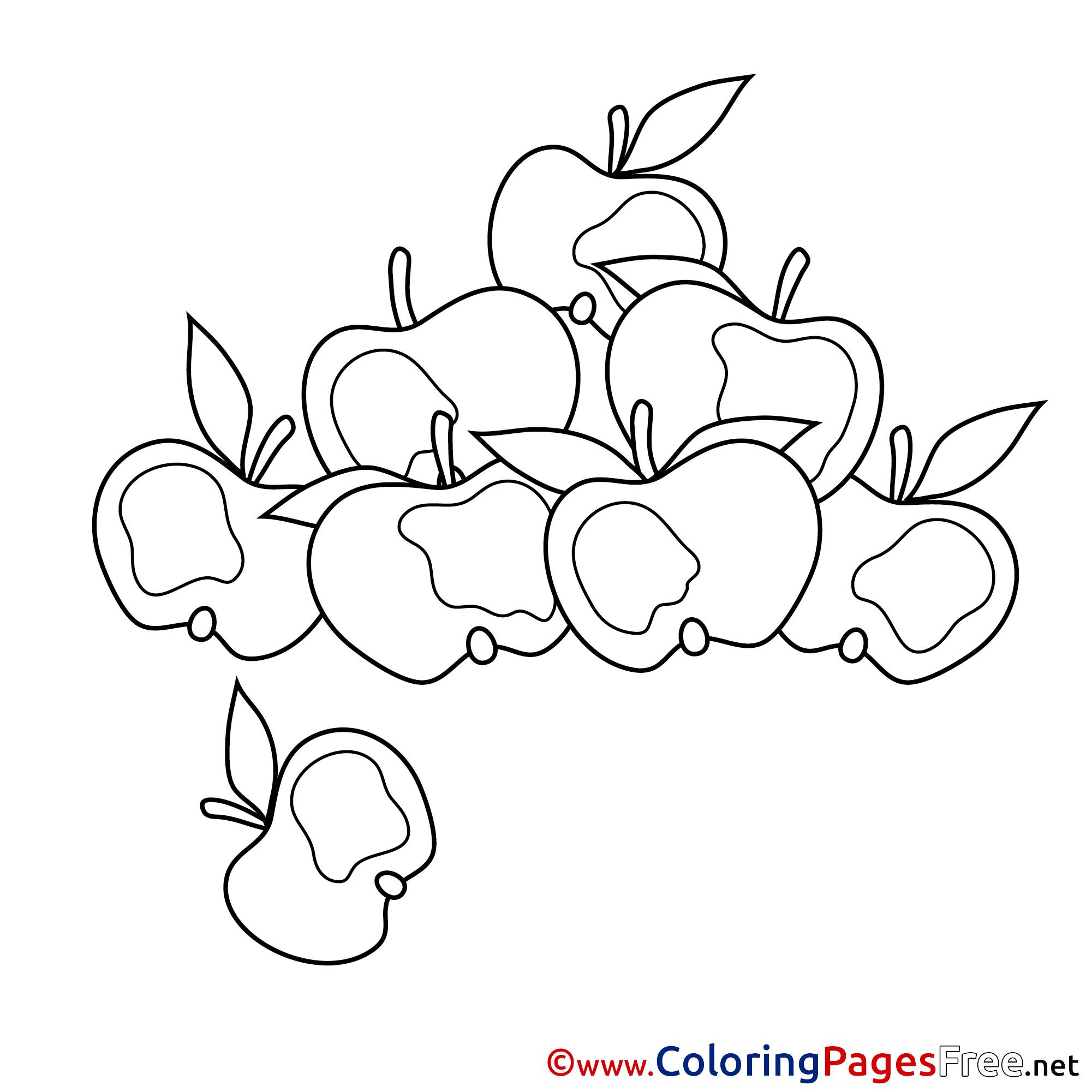 Apples Colouring Page printable free