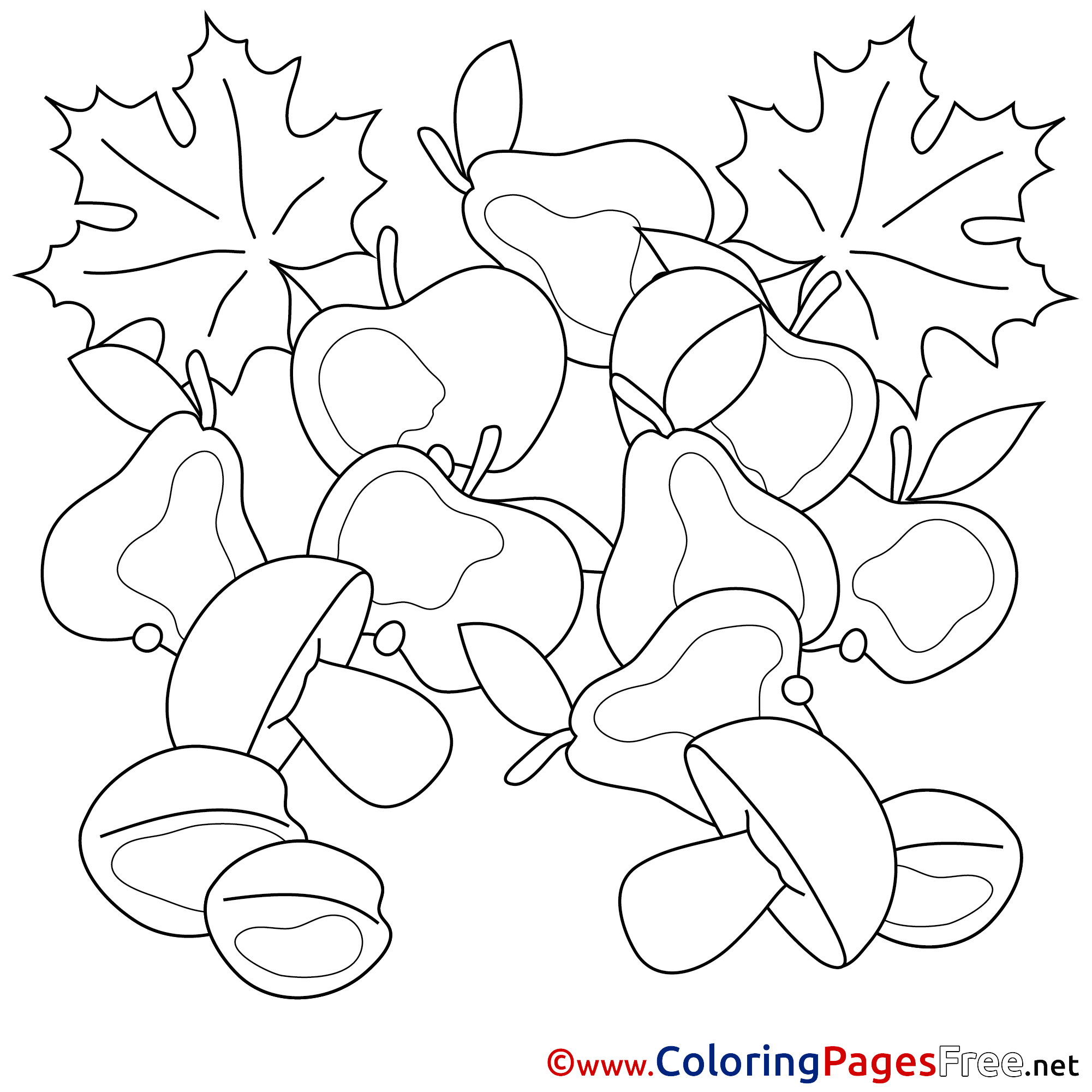 Champignon Kids download Coloring Pages
