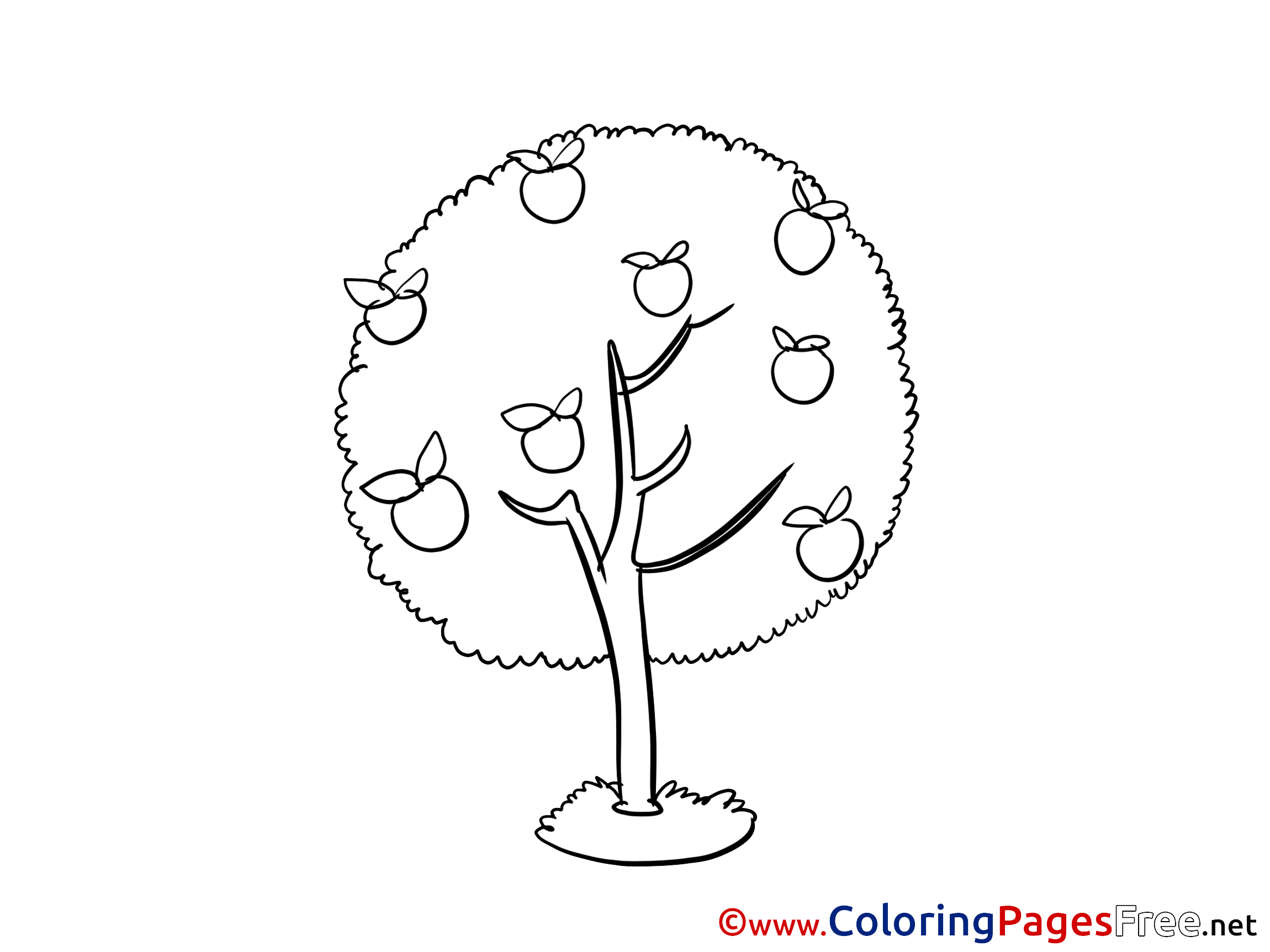Harvest Apple printable Coloring Pages for free