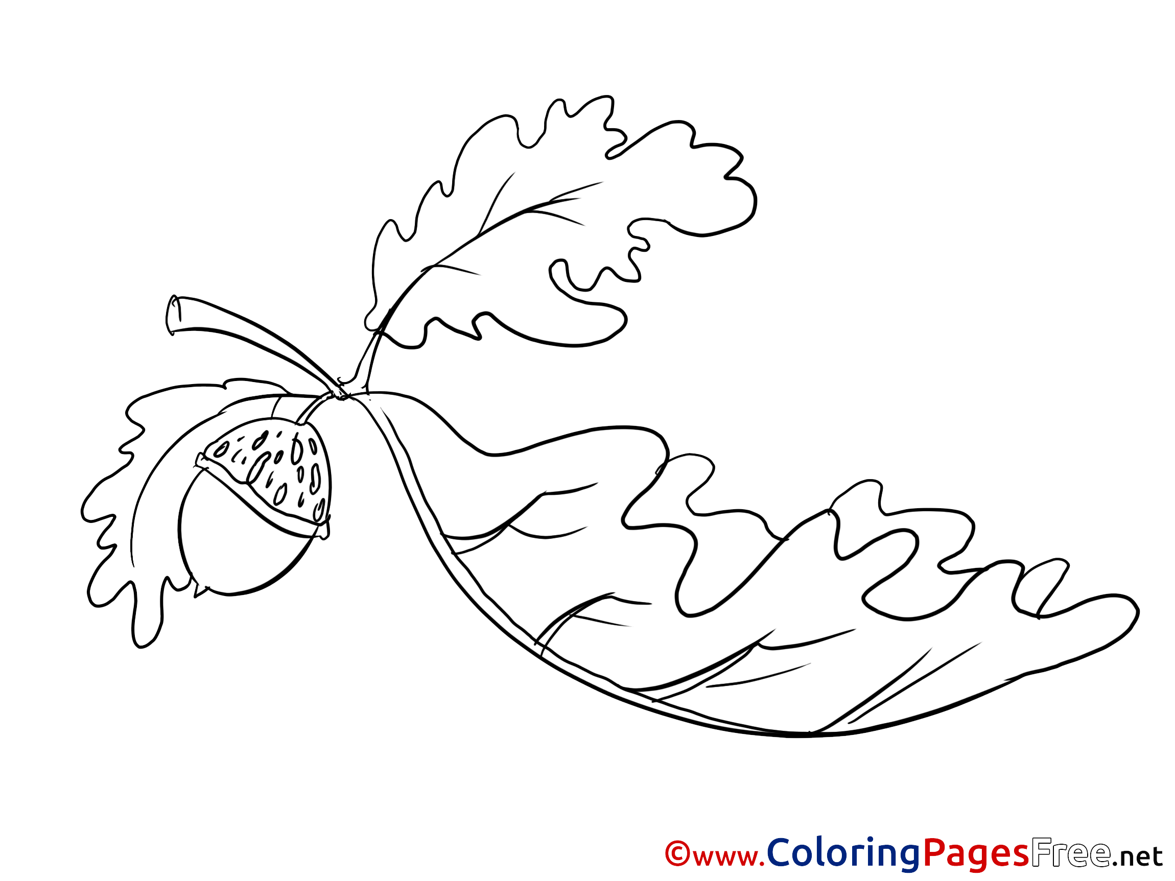oak leaf coloring sheet