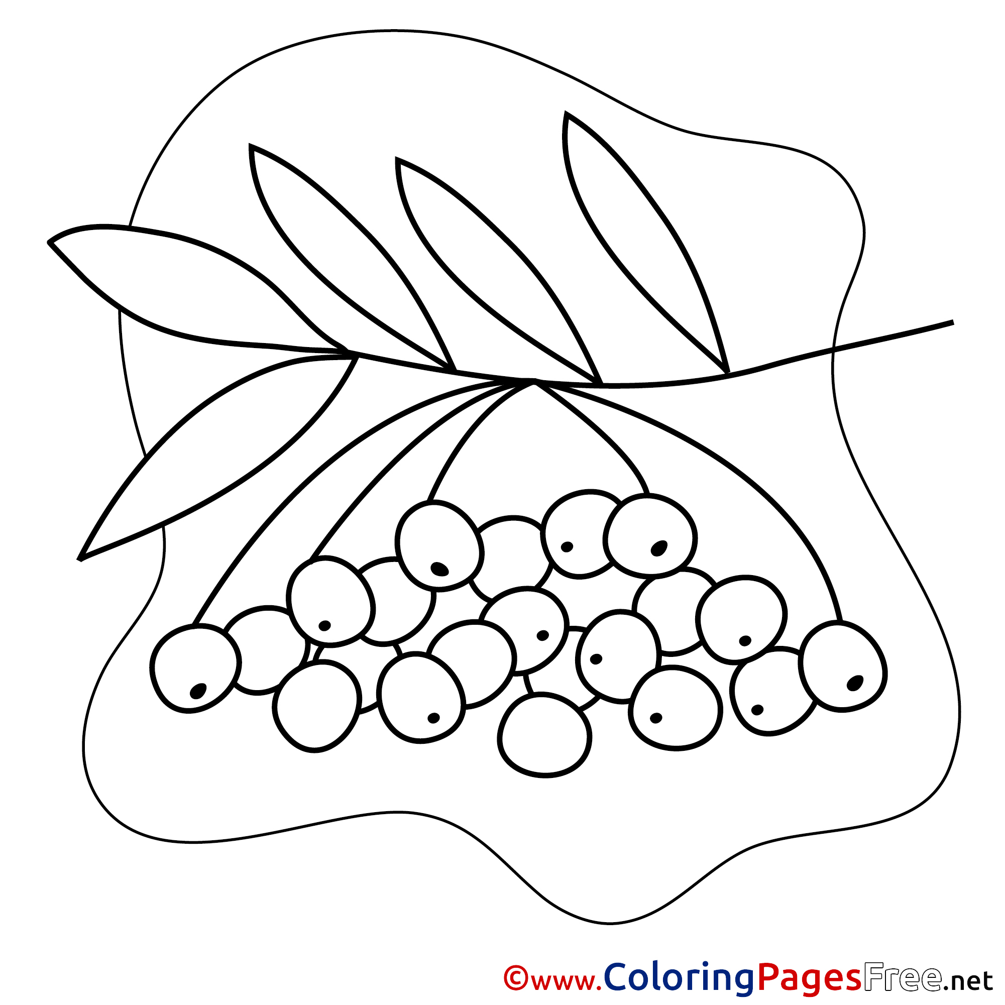 Rowan Of Rin Colouring Pages Page 3 Sketch Coloring Page