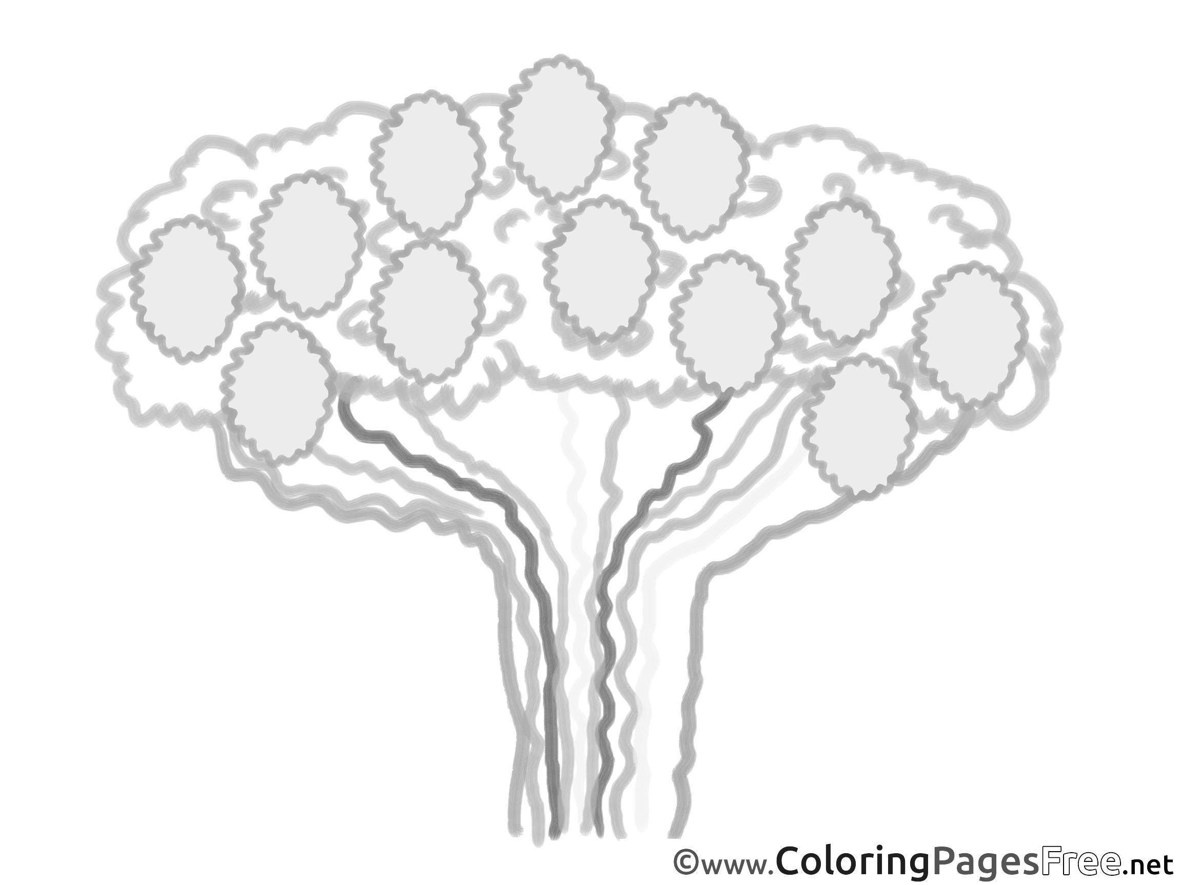 family tree coloring page free