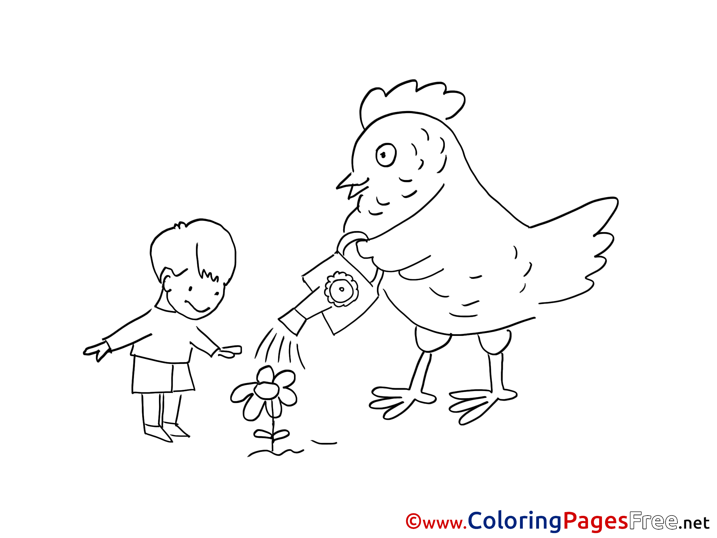 Boy Flower Chicken free Colouring Page download