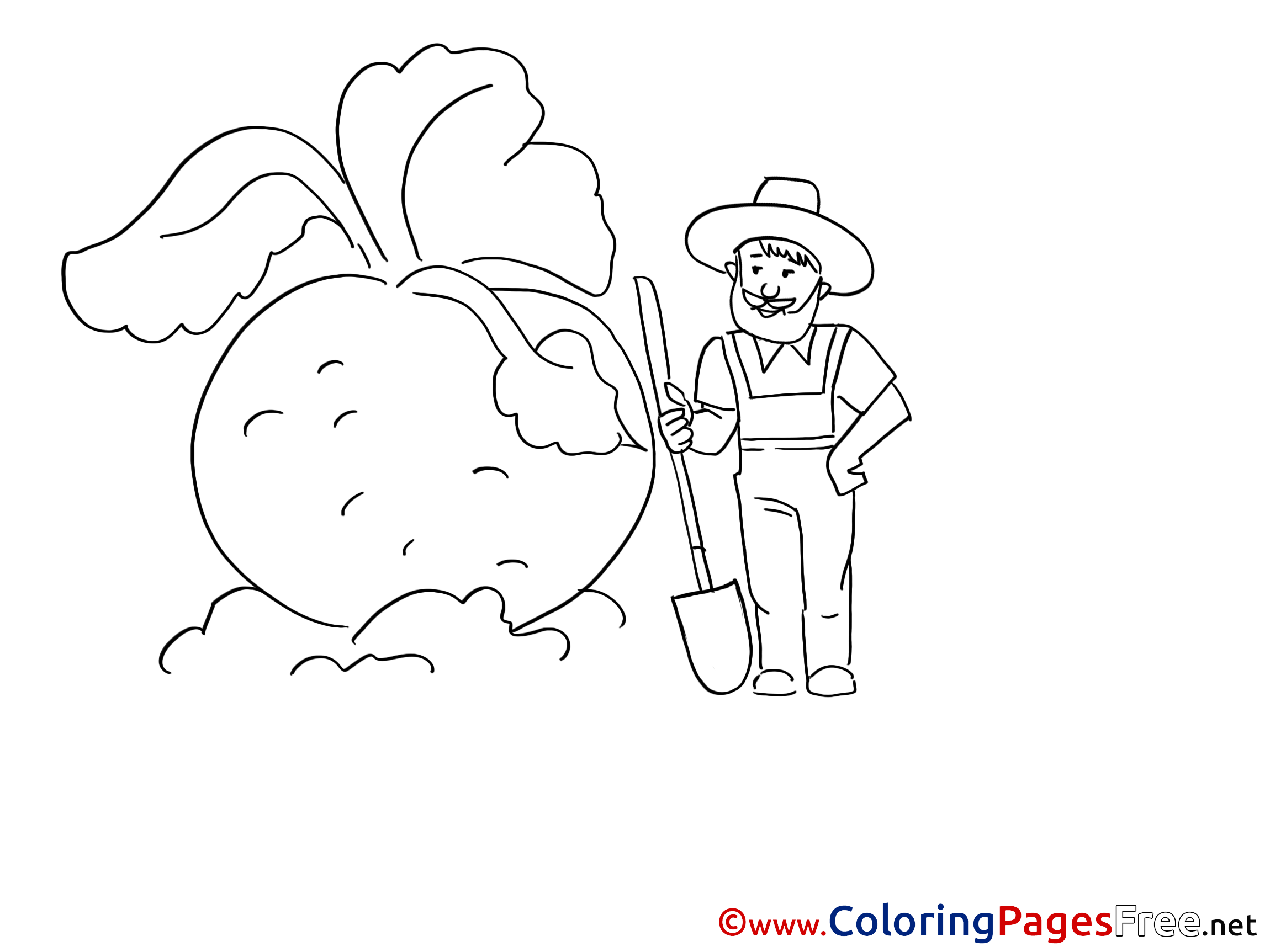 turnip coloring sheet