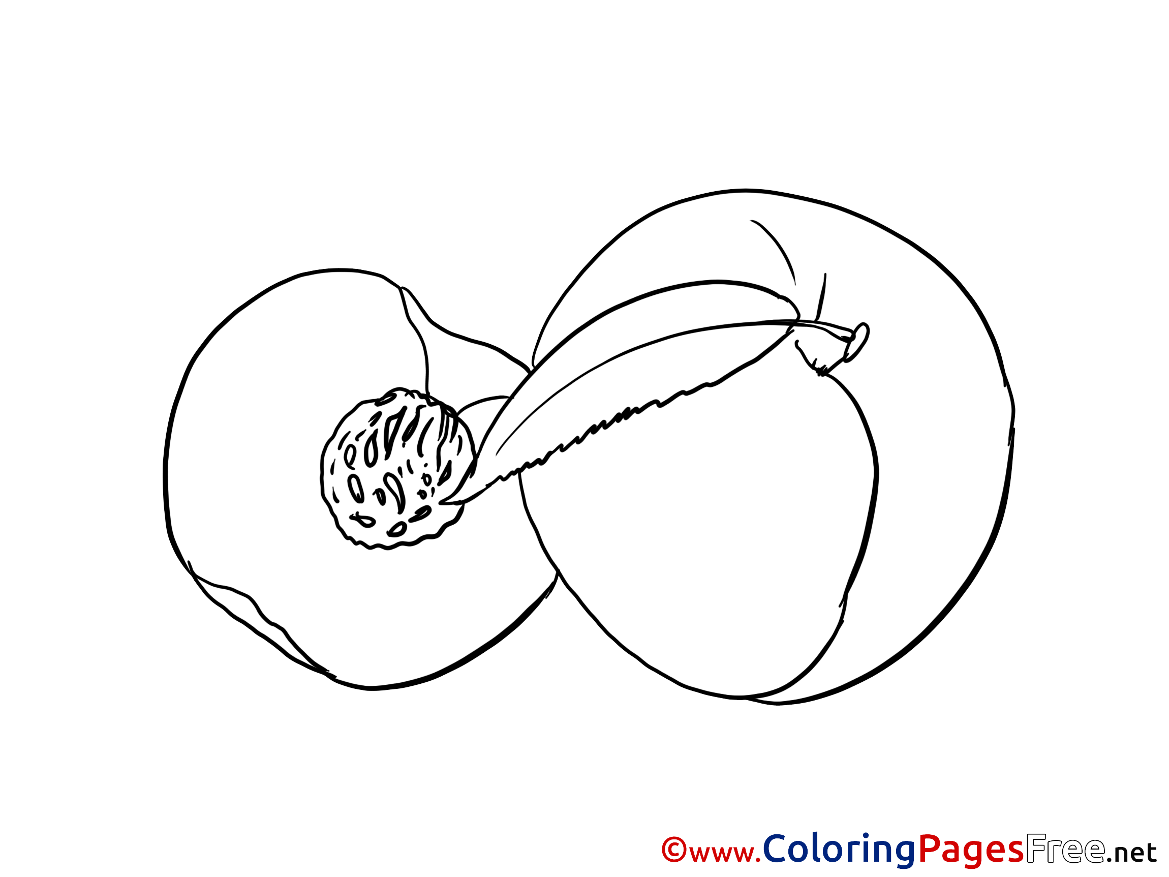 peach coloring pages free