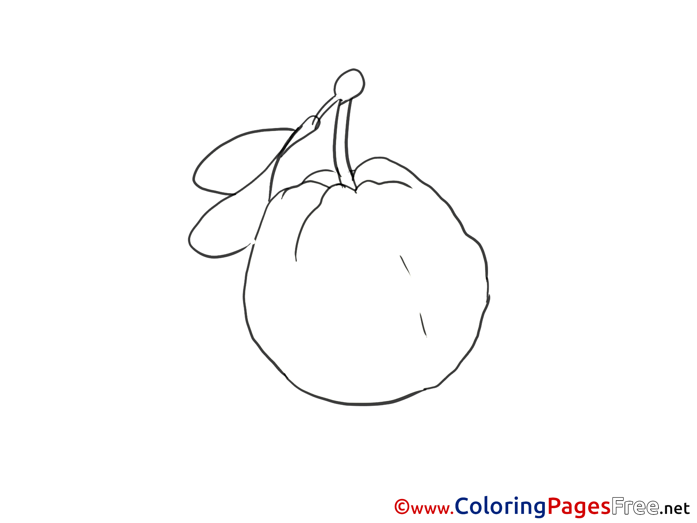 Quince Coloring Page