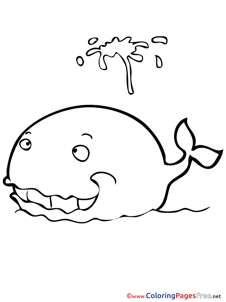 Geyser Whale for Kids printable Colouring Page