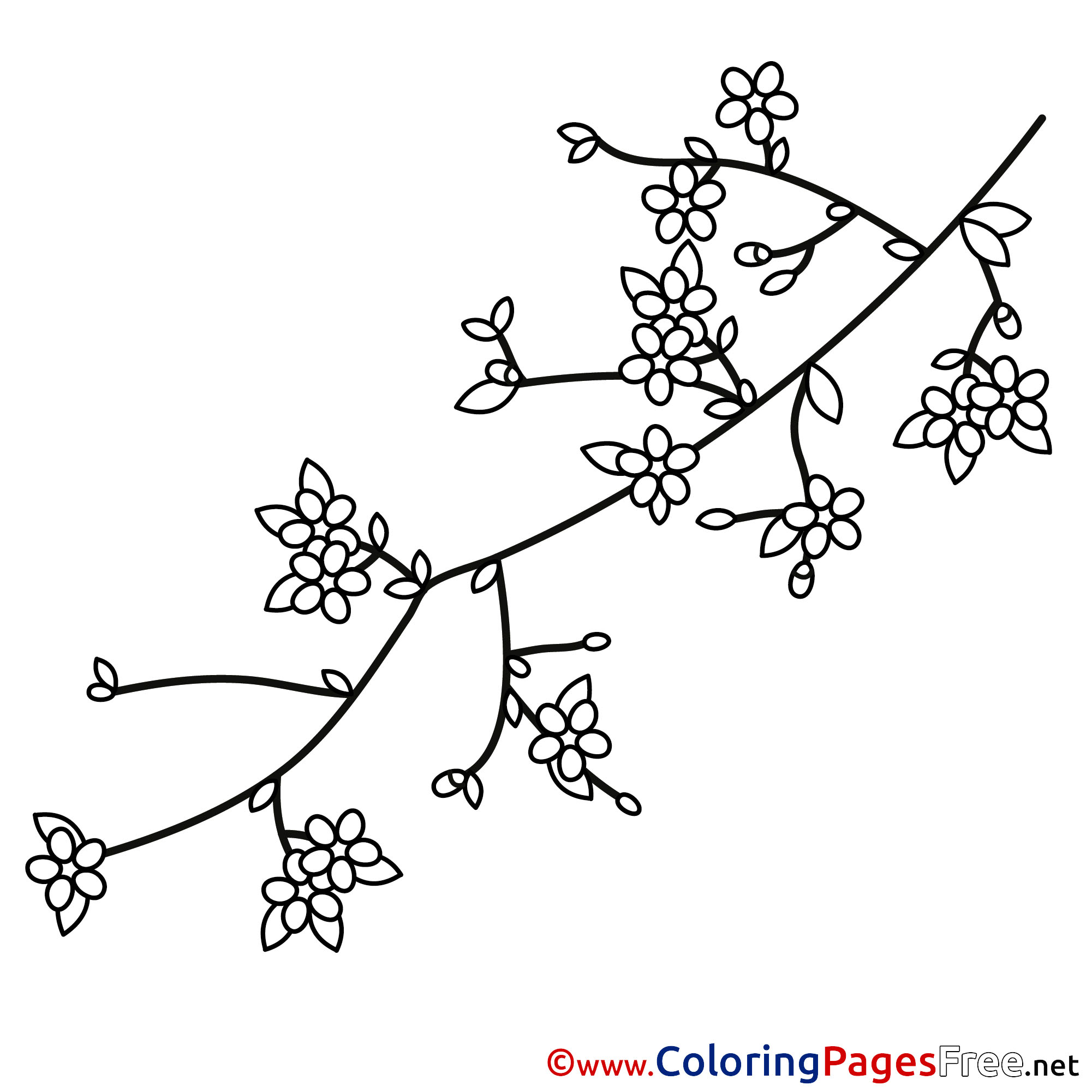 Branch Spring Colouring Sheet free