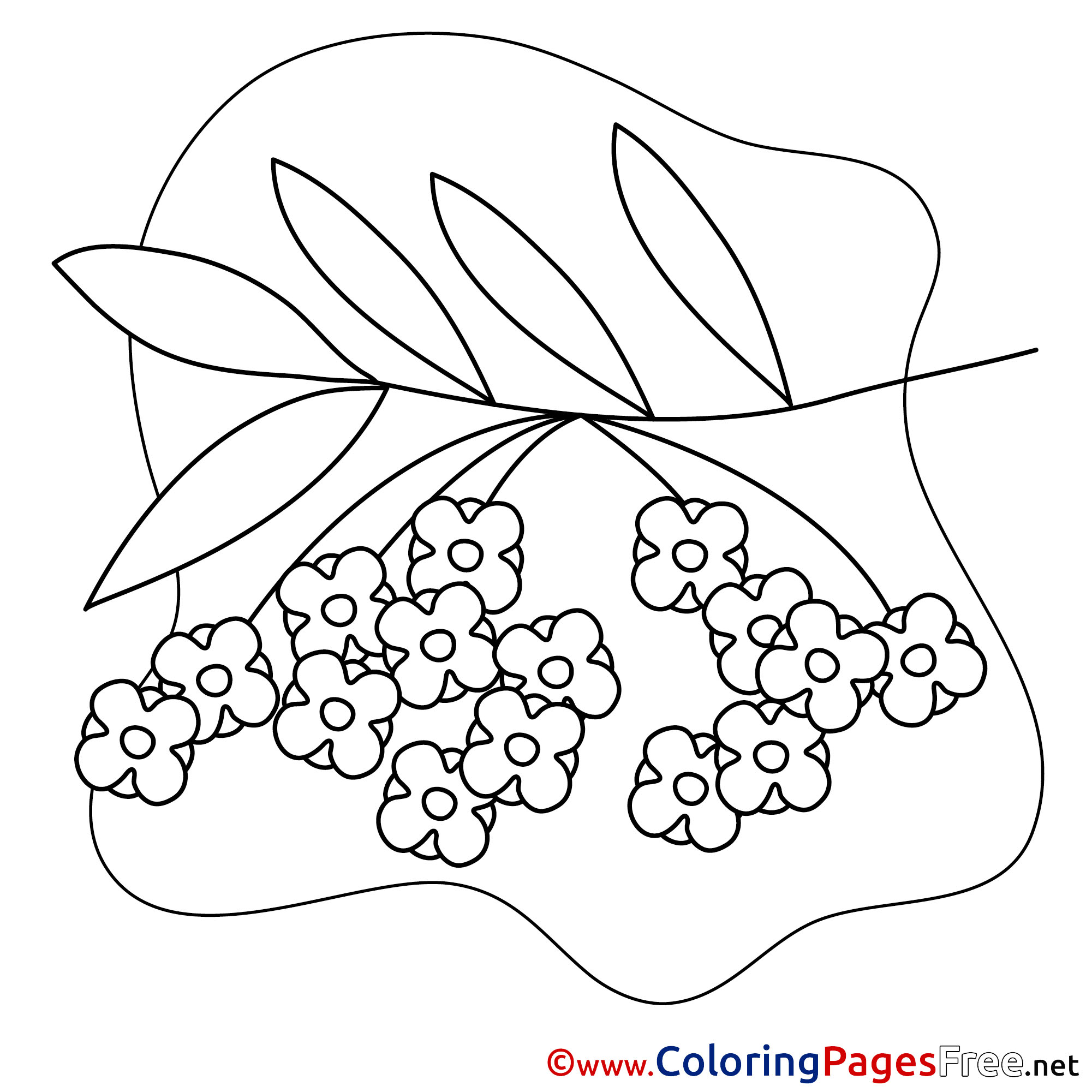 Rowan Coloring Pages Spring