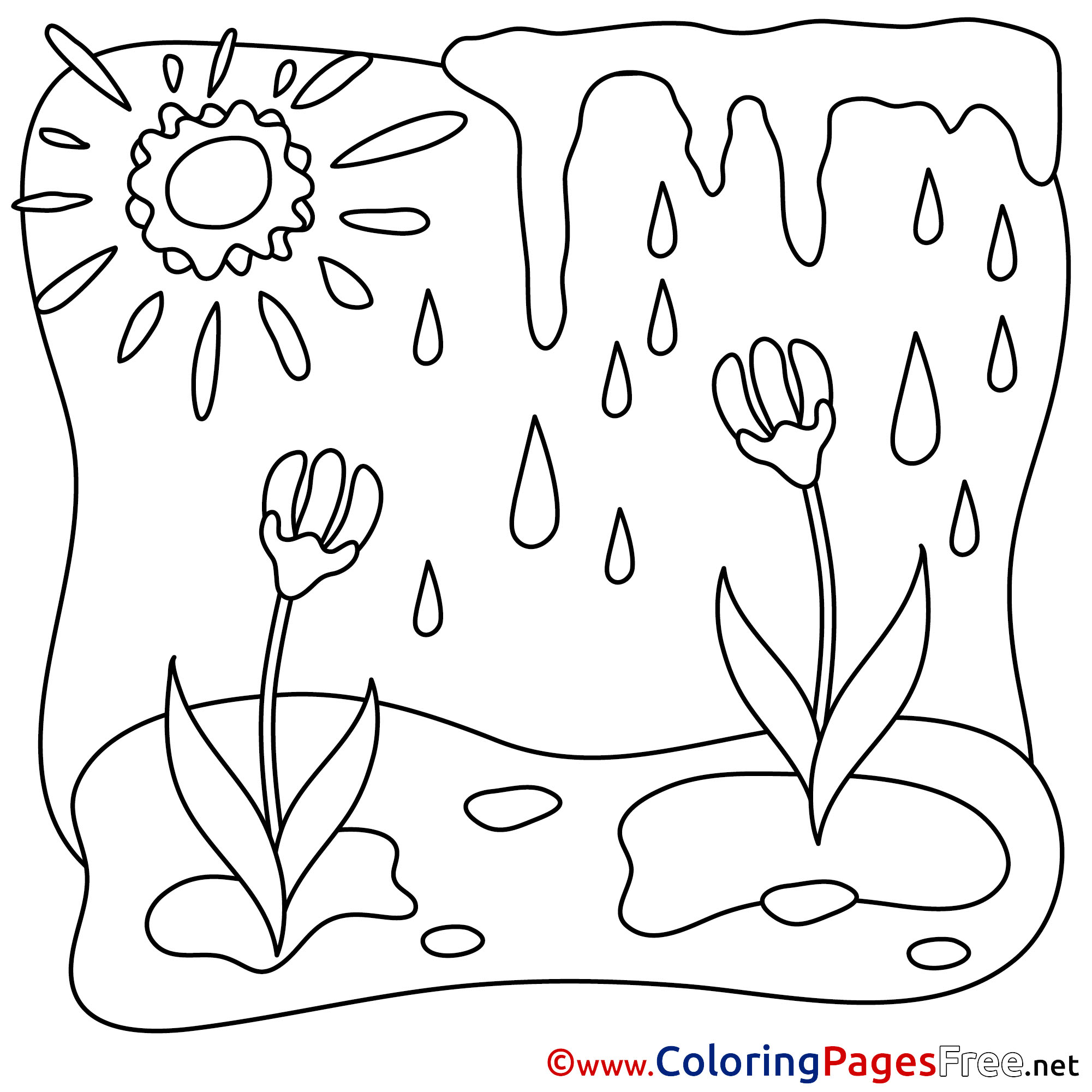 Spring Rain Coloring Pages