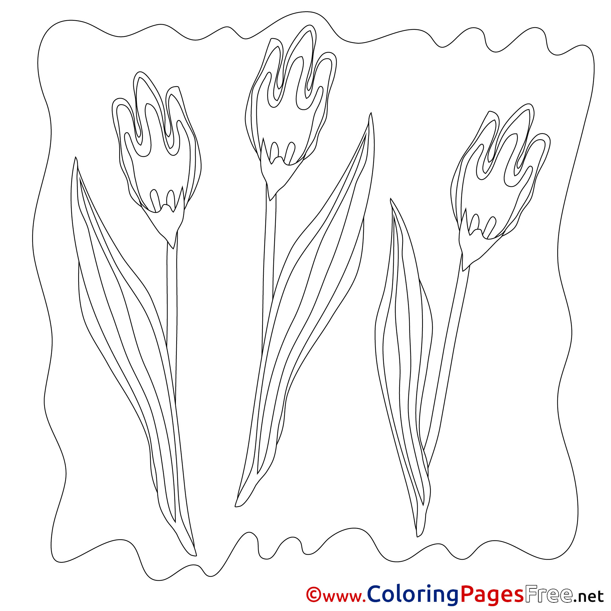 Tulips Coloring Sheets Spring free
