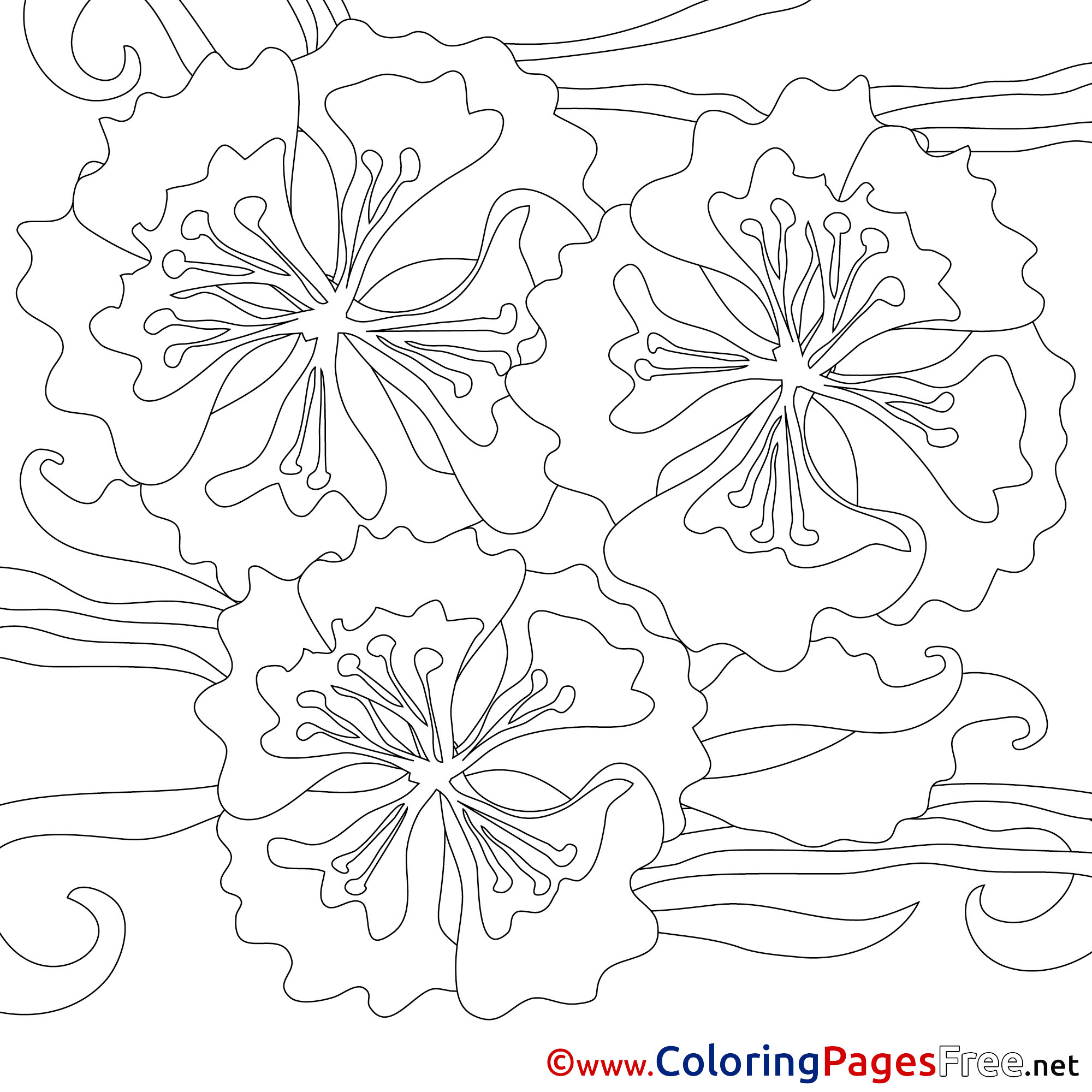 Flowers printable Coloring Pages Summer
