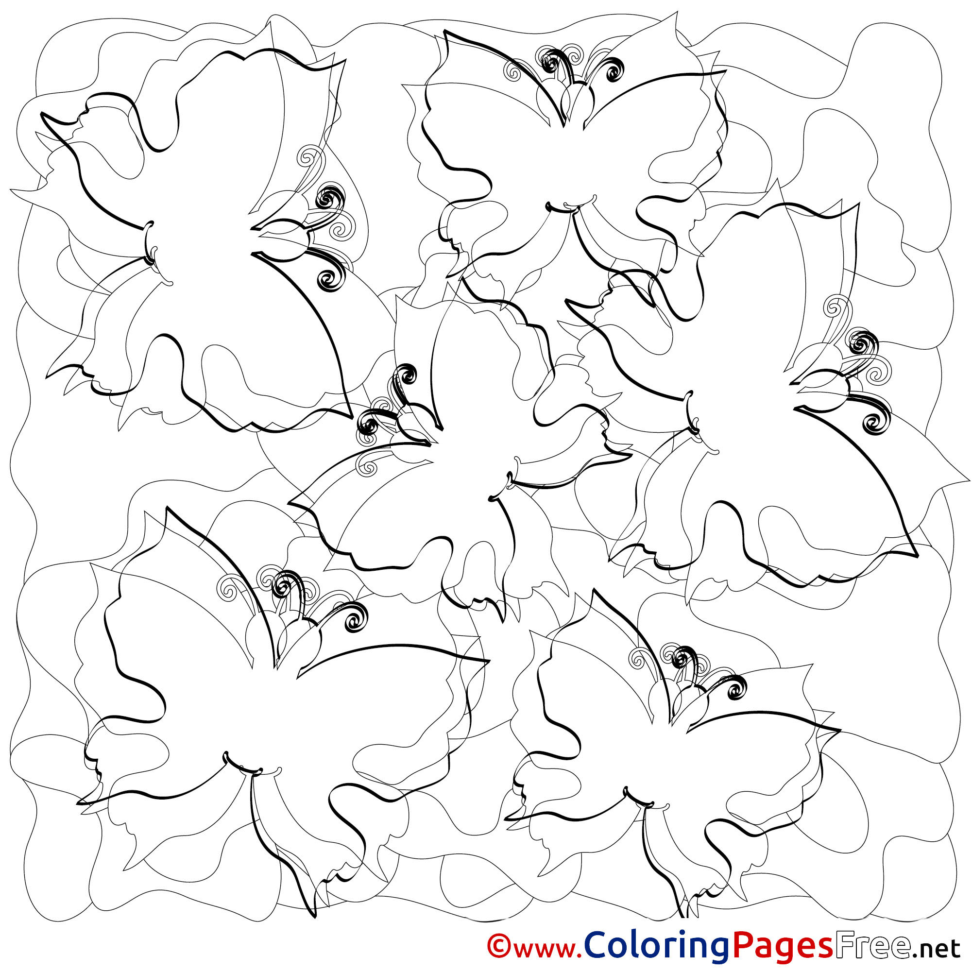 For Kids Summer Butterflies Colouring Page