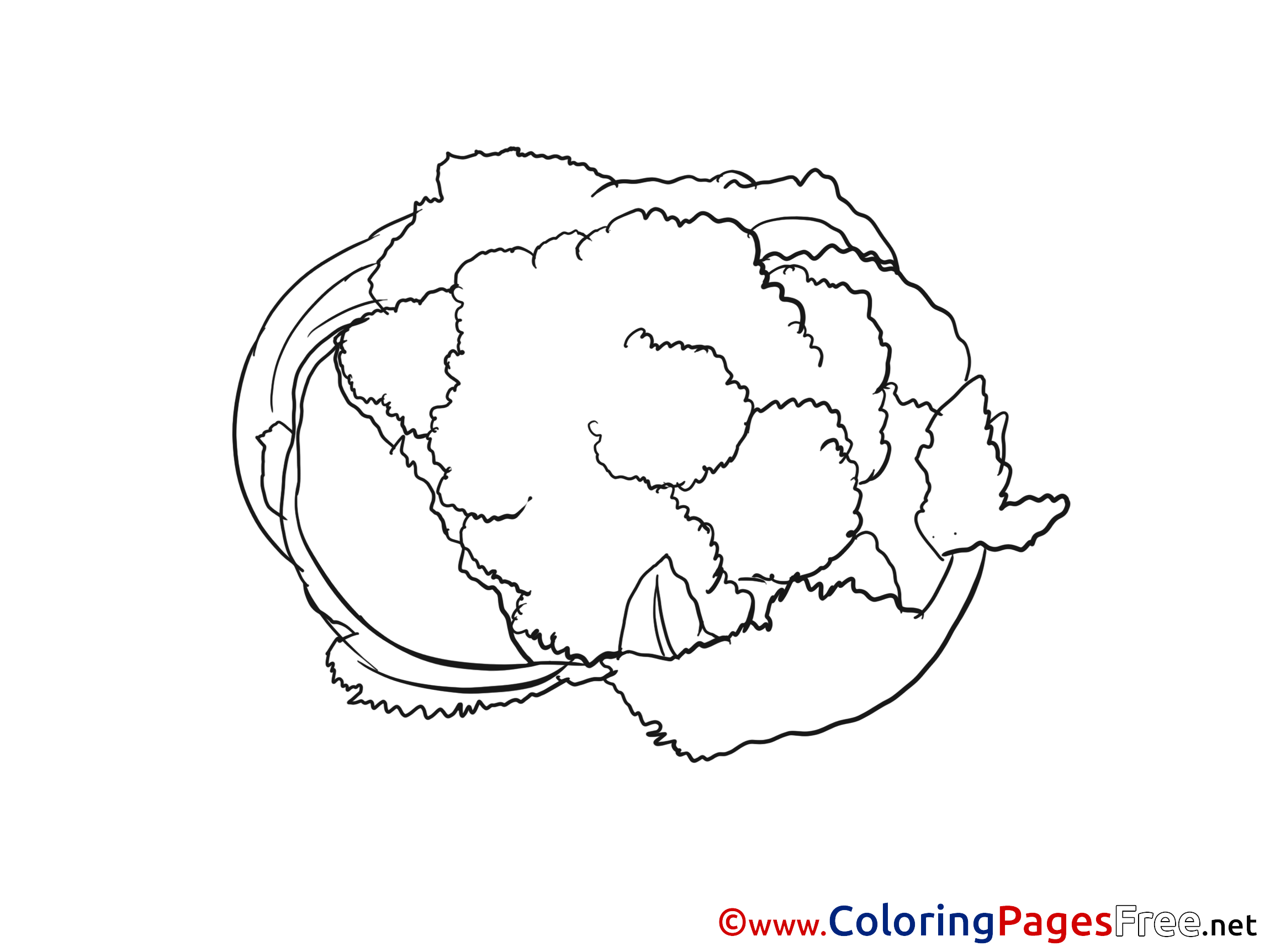 Cabbage Kids free Coloring Page