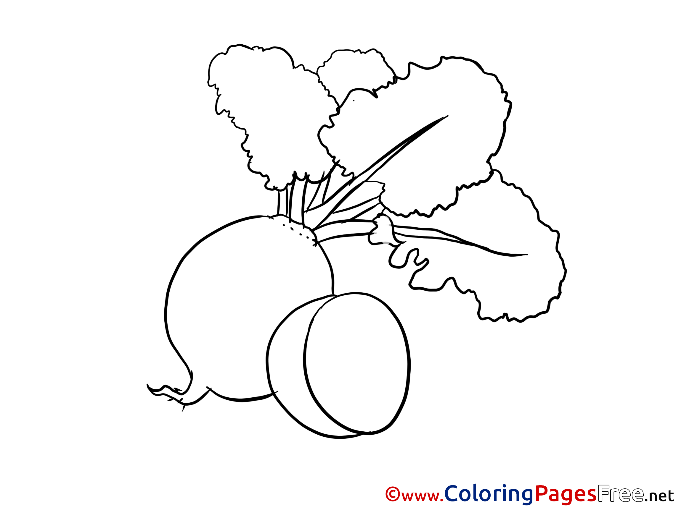 Radish download printable Coloring Pages